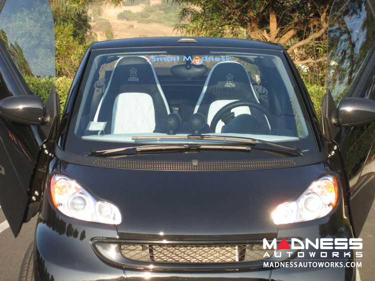 2008 Custom smart car white & black - Customization